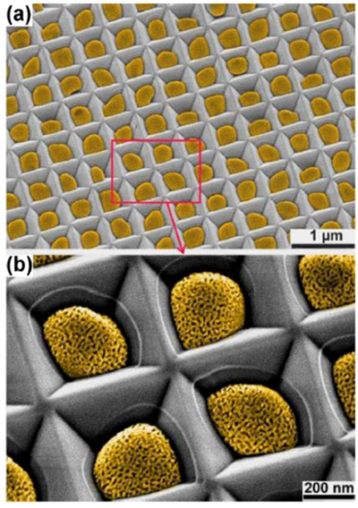 Complex-Morphology Metal-Based Nanostructures: Fabrication, Characterization, and Applications