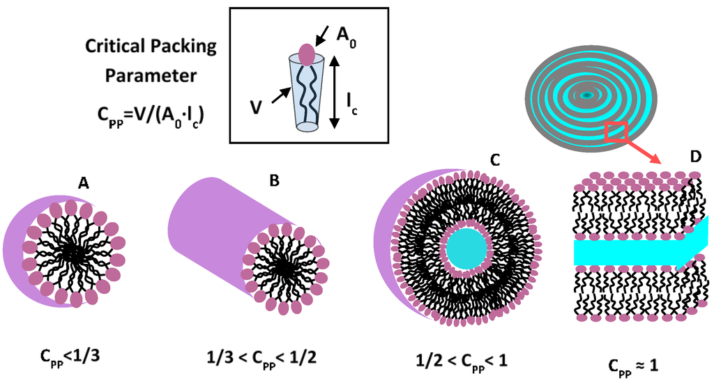 Nanomaterials | Free Full-Text | Soft Interaction in Liposome ...