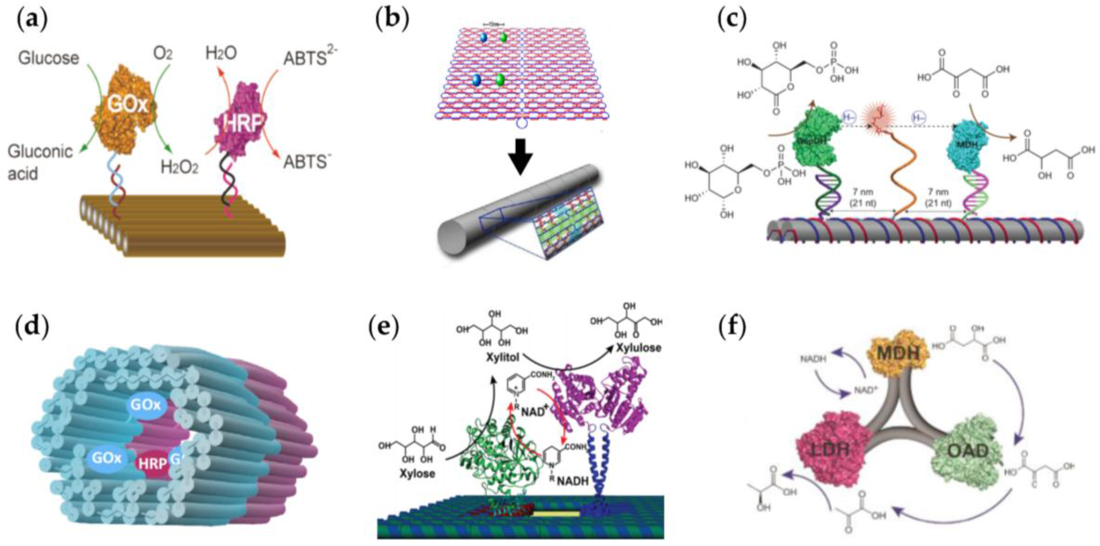 DNA-Based Enzyme Reactors and Systems