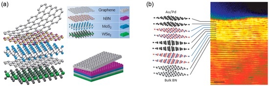 Two-Dimensional Semiconductor Optoelectronics Based on van der Waals ...