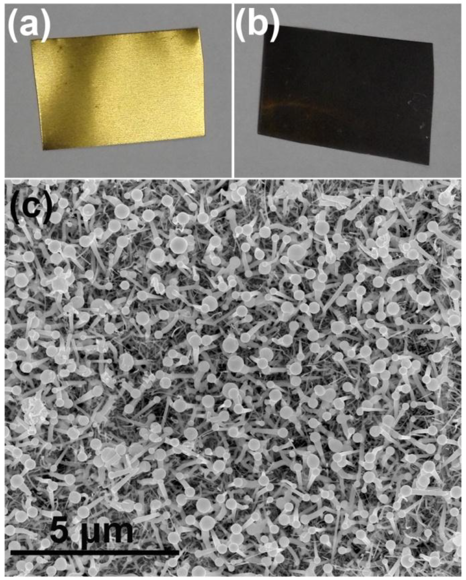 Morphology Controlled Fabrication of InN Nanowires on Brass Substrates