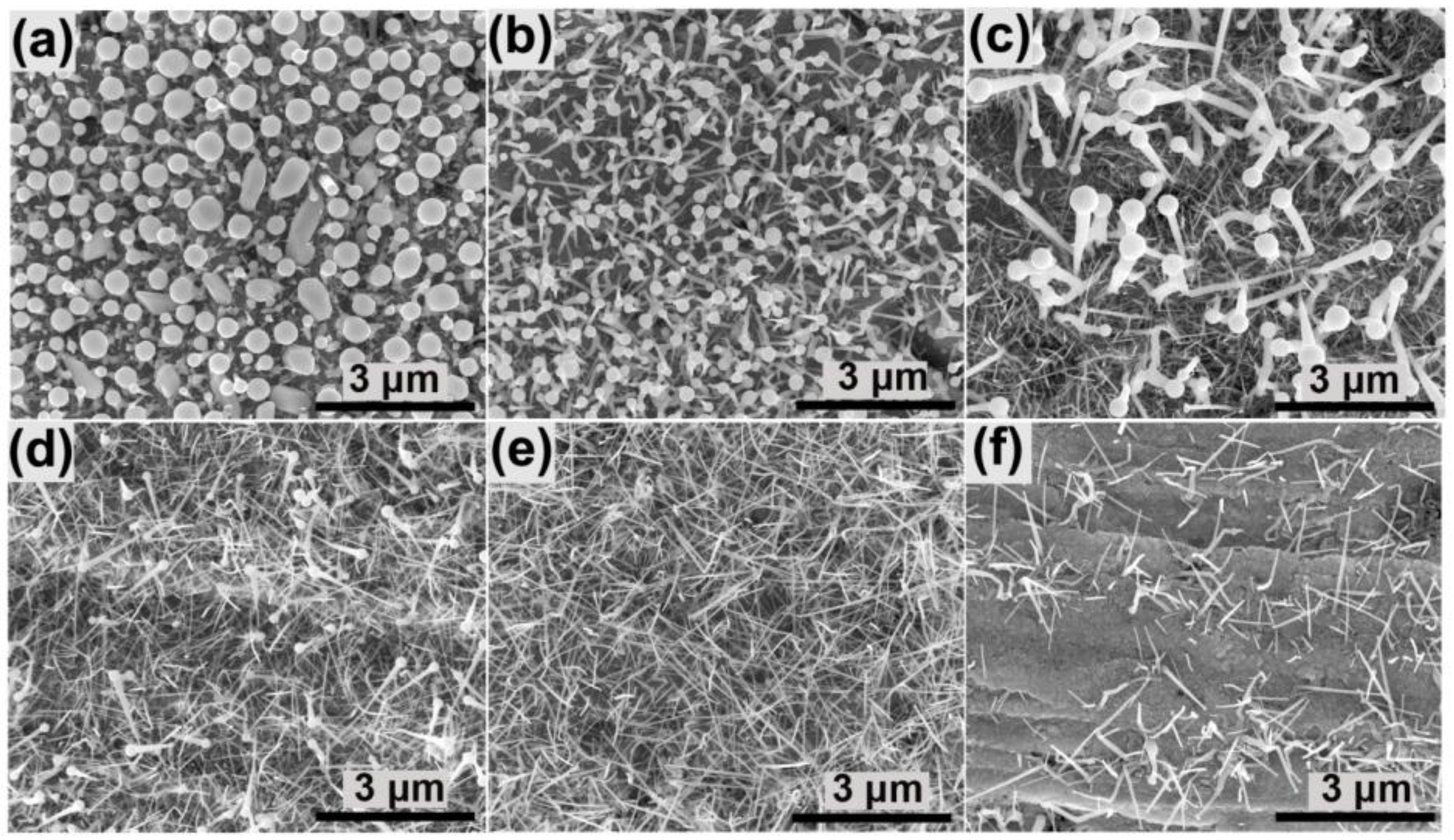 Morphology Controlled Fabrication of InN Nanowires on Brass Substrates