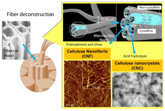Nanocellulose-Based Materials for Water Purification