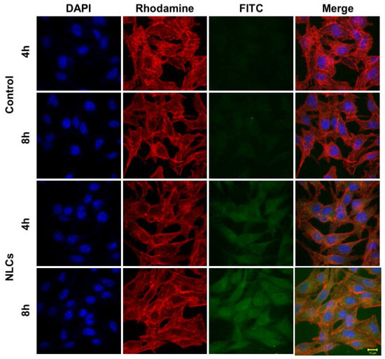 The Improvement of Skin Whitening of Phenylethyl Resorcinol by ...