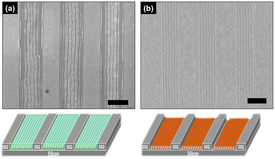 Creating Active Device Materials for Nanoelectronics Using Block ...