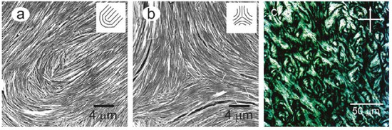 Lyotropic Liquid Crystal Phases from Anisotropic Nanomaterials