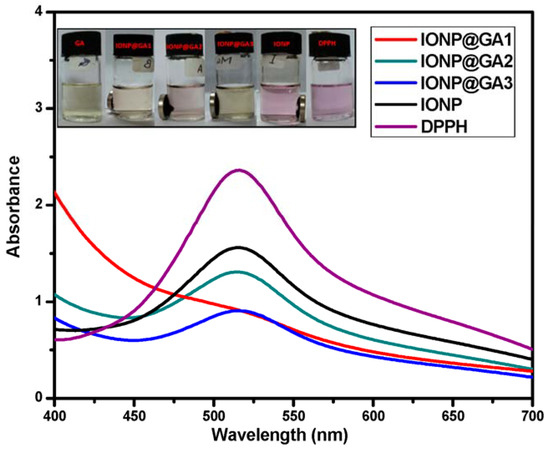 Surface Functionalization of Iron Oxide Nanoparticles with Gallic Acid ...