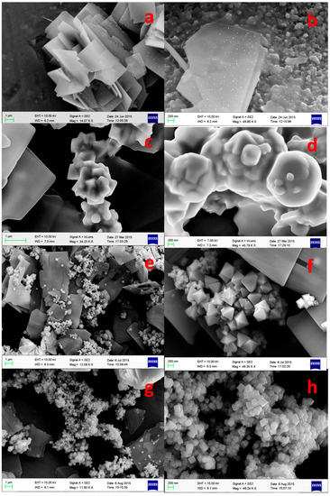 Influence of Synthesis Temperature on the Growth and Surface Morphology ...