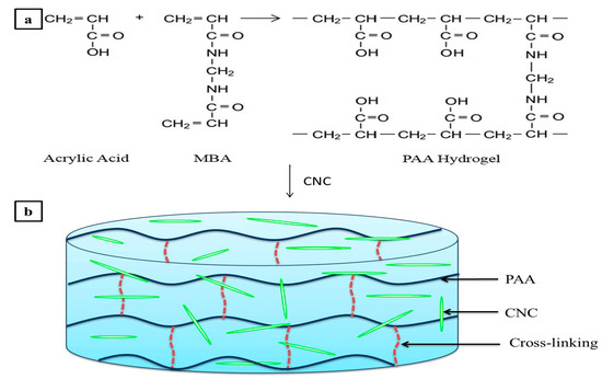 Synthesis and Swelling Behavior of pH-Sensitive Semi-IPN Superabsorbent ...