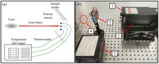 Experimental Comparison of Photothermal Conversion Efficiency of Gold ...