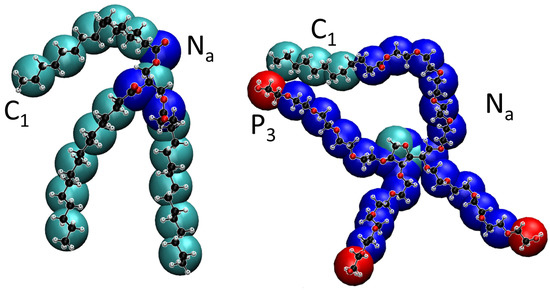 Computer Simulations of Lipid Nanoparticles