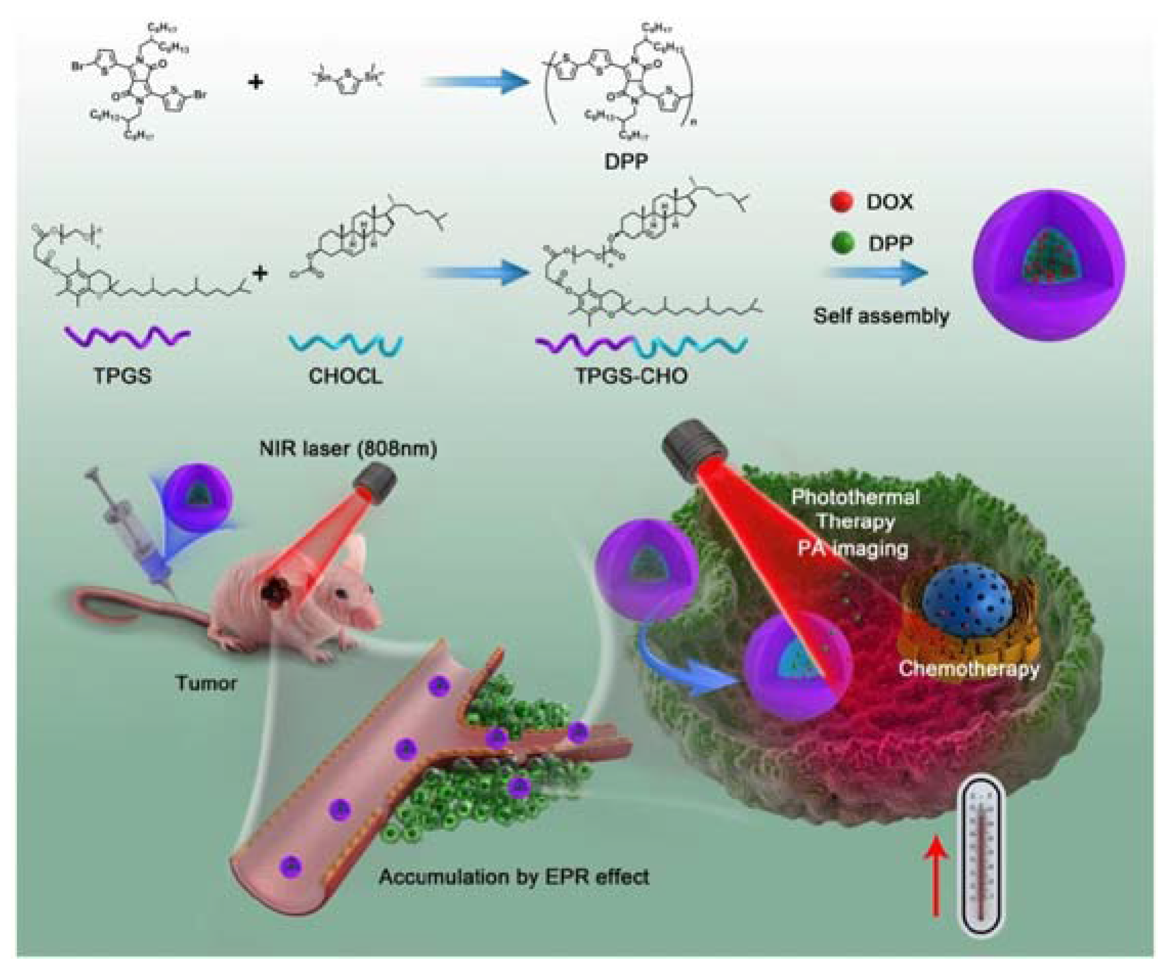 Nanomaterials Free Full Text Polymer Based Nanocarriers For Co