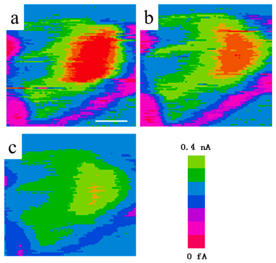 Graphene Modified TiO2 Composite Photocatalysts: Mechanism, Progress ...