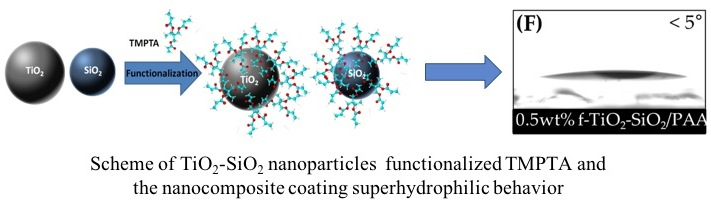 Nanomaterials | Free Full-Text | Functionalization Effect on Polymer ...