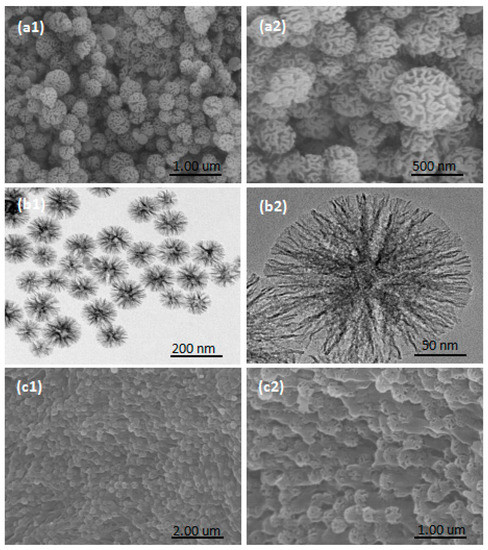 High Performance Shape-Stabilized Phase Change Material with Nanoflower ...