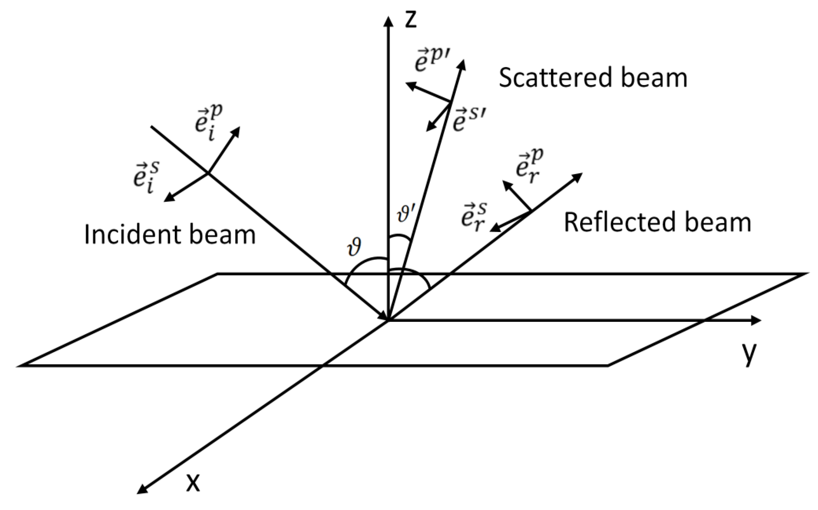 Polarization- and Angular-Resolved Optical Response of Molecules on ...