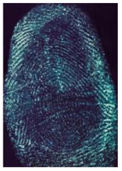 The Recognition of Sweat Latent Fingerprints with Green-Emitting Carbon ...