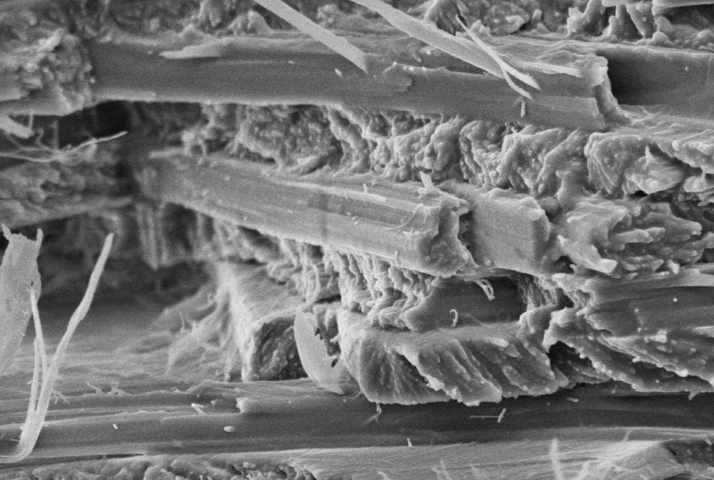 Nanomaterials | Free Full-Text | Investigation on Microstructure of ...