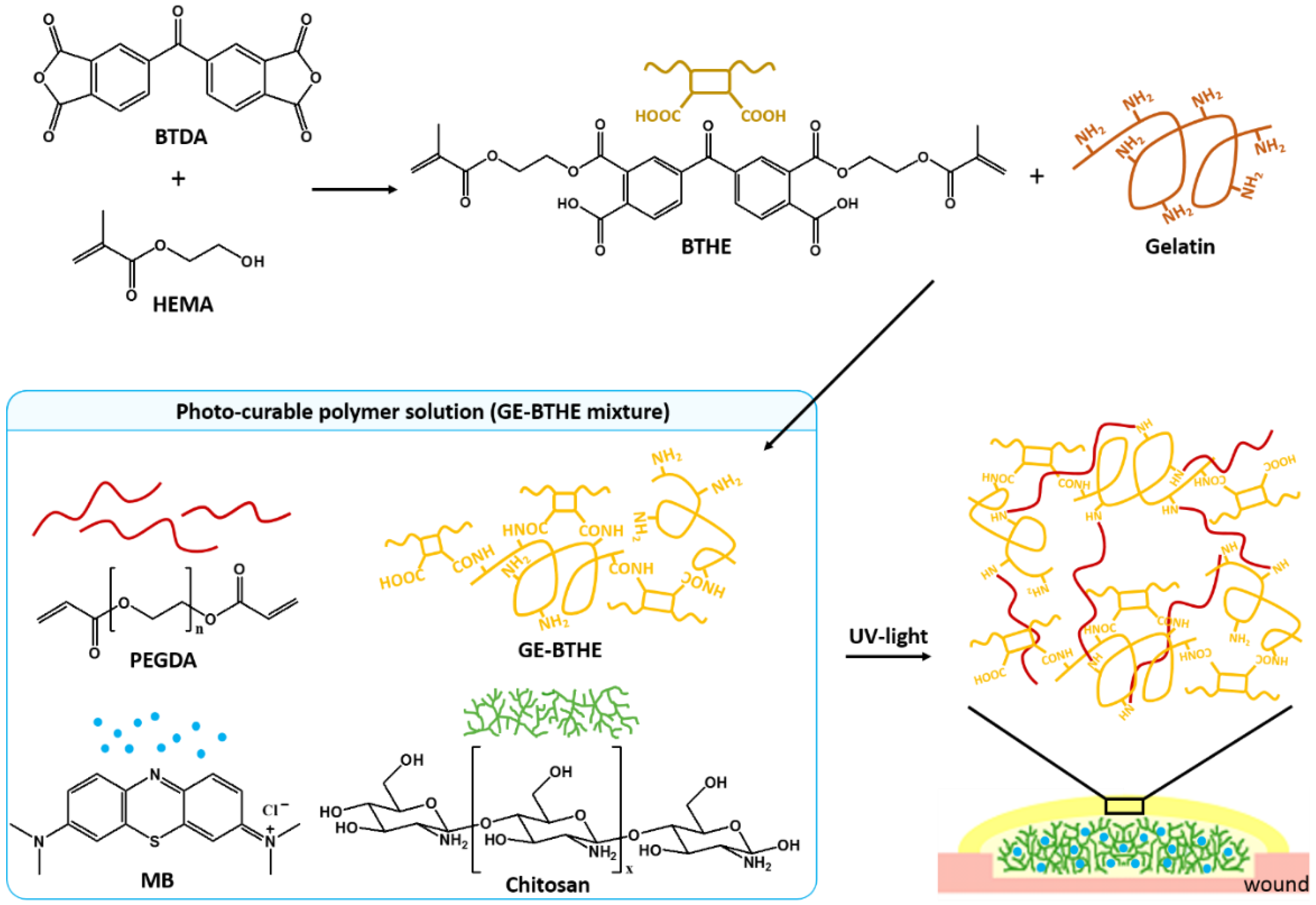 Nanomaterials | Free Full-Text | Photo-Crosslinked Polymeric Matrix ...