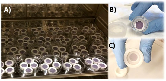 Passive Sampling of Gaseous Elemental Mercury Based on a Composite ...