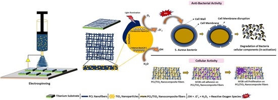 Nanomaterials | Free Full-Text | Antibacterial and Bioactive Surface ...