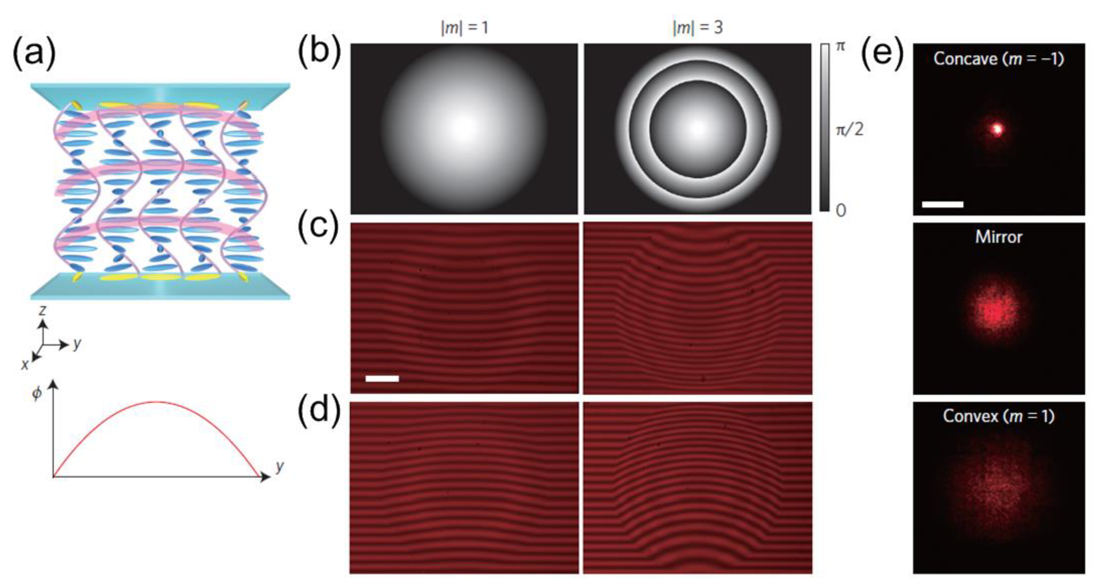 Liquid Crystal Enabled Dynamic Nanodevices