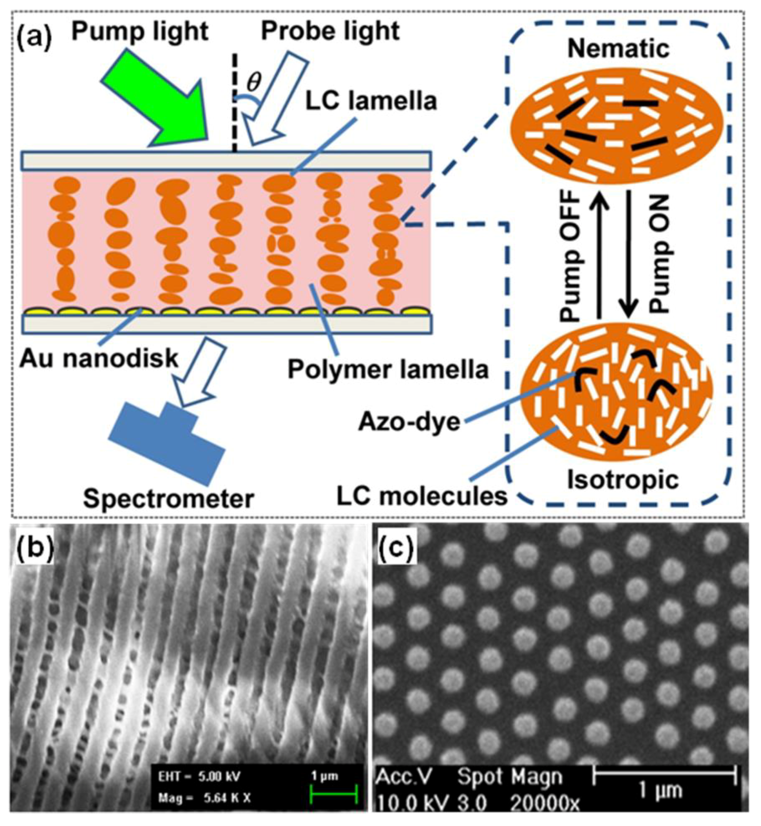 Liquid Crystal Enabled Dynamic Nanodevices