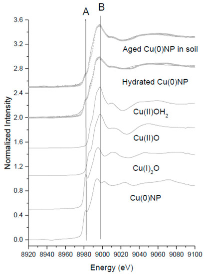 Macroscopic Observation of Soil Nitrification Kinetics Impacted by ...