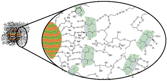In-Situ Preparation of CdTe Quantum Dots Capped with a β-Cyclodextrin ...