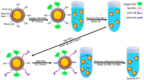 A Raman Imaging Approach Using CD47 Antibody-Labeled SERS Nanoparticles ...