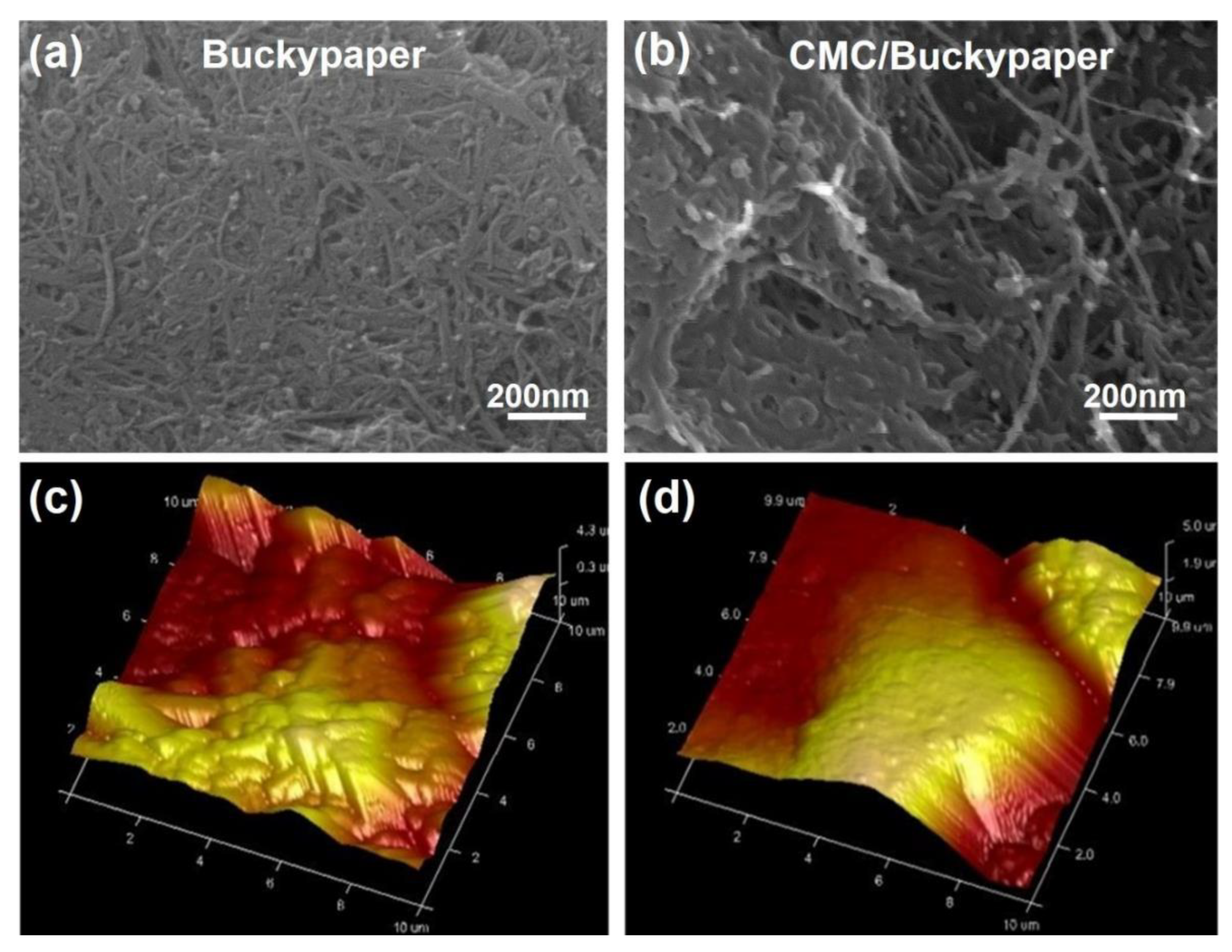 Preparation and Properties of Highly Electroconductive and Heat-Resistant CMC/Buckypaper/Epoxy ...