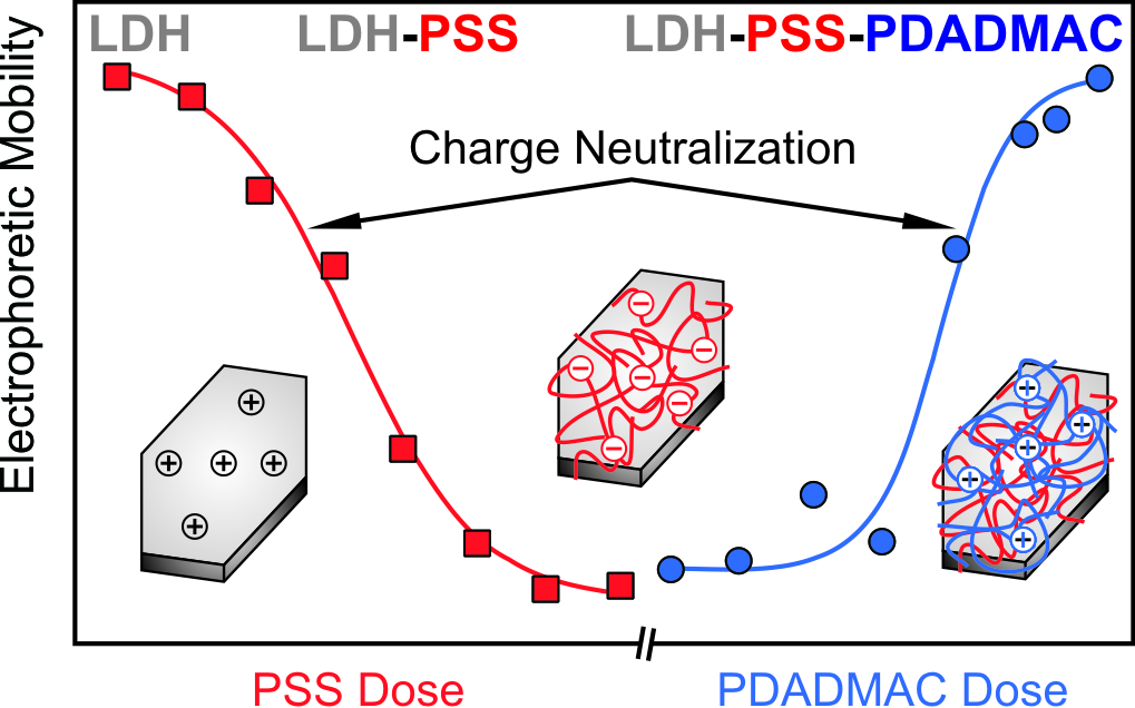 Nanomaterials | Free Full-Text | Effect of Polyelectrolyte Mono- and ...