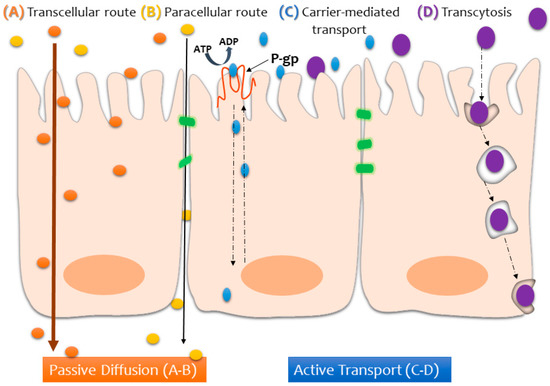 Characterization of Nanoparticle Intestinal Transport Using an In Vitro ...