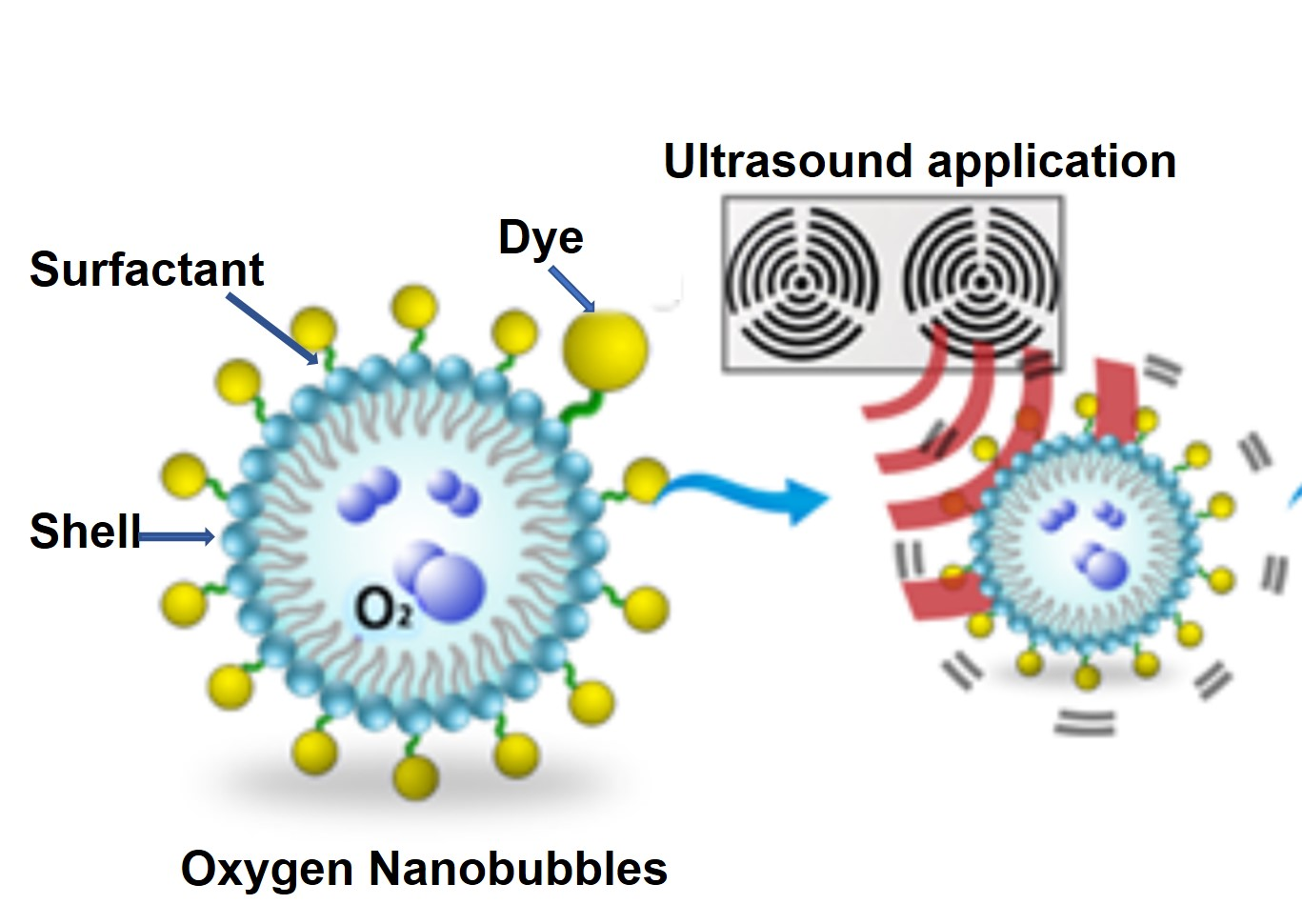 Nanomaterials | Free Full-Text | Surface Composition and Preparation ...