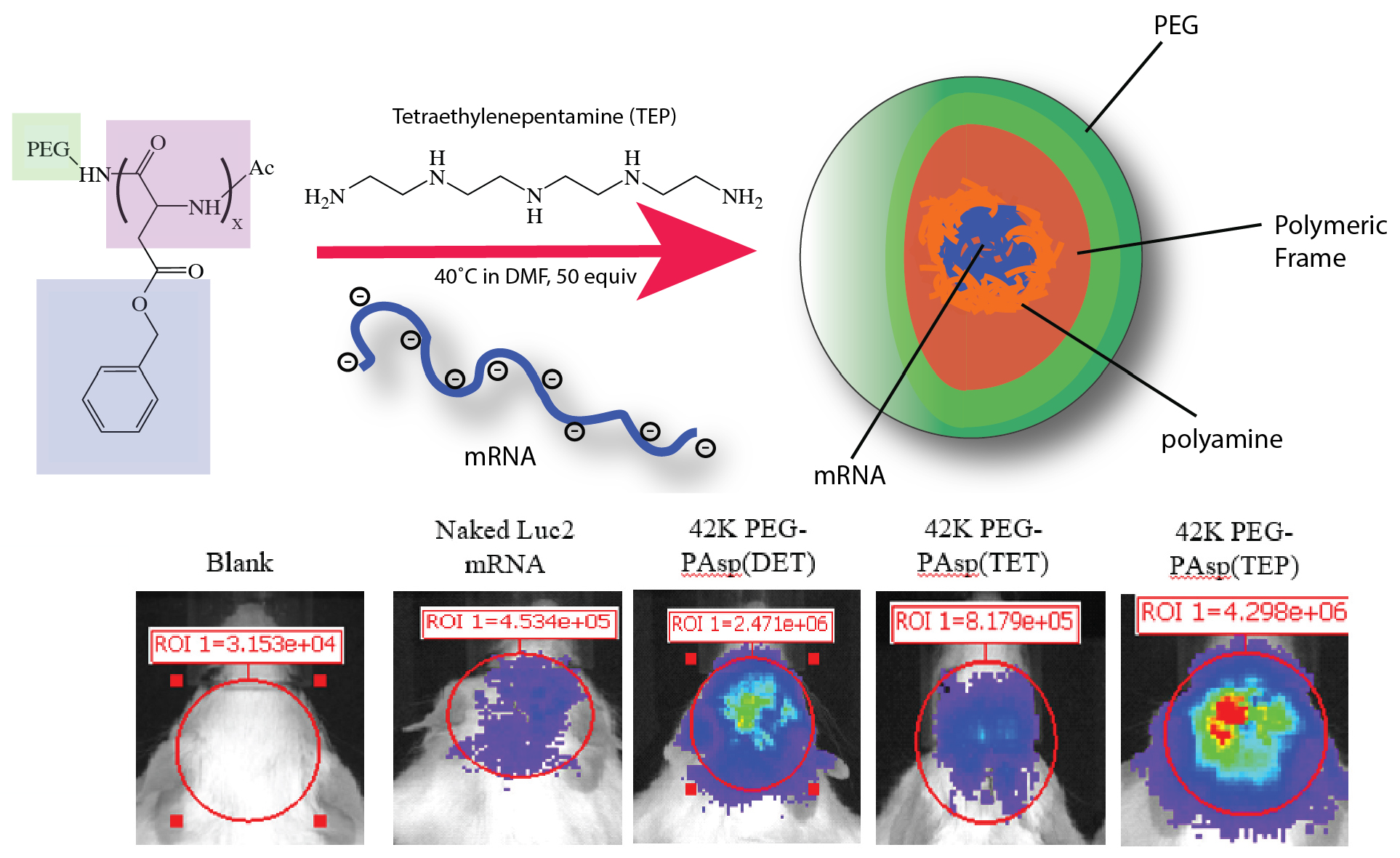 Nanomaterials | Free Full-Text | Preparation of Messenger RNA ...