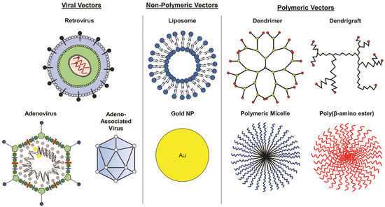 Nanomaterials | Free Full-Text | Vectors for Glioblastoma Gene Therapy ...