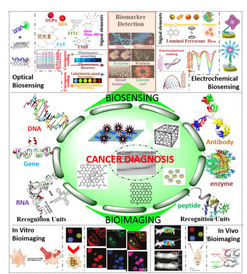 Nanomaterials | Free Full-Text | Biomarkers-based Biosensing and ...