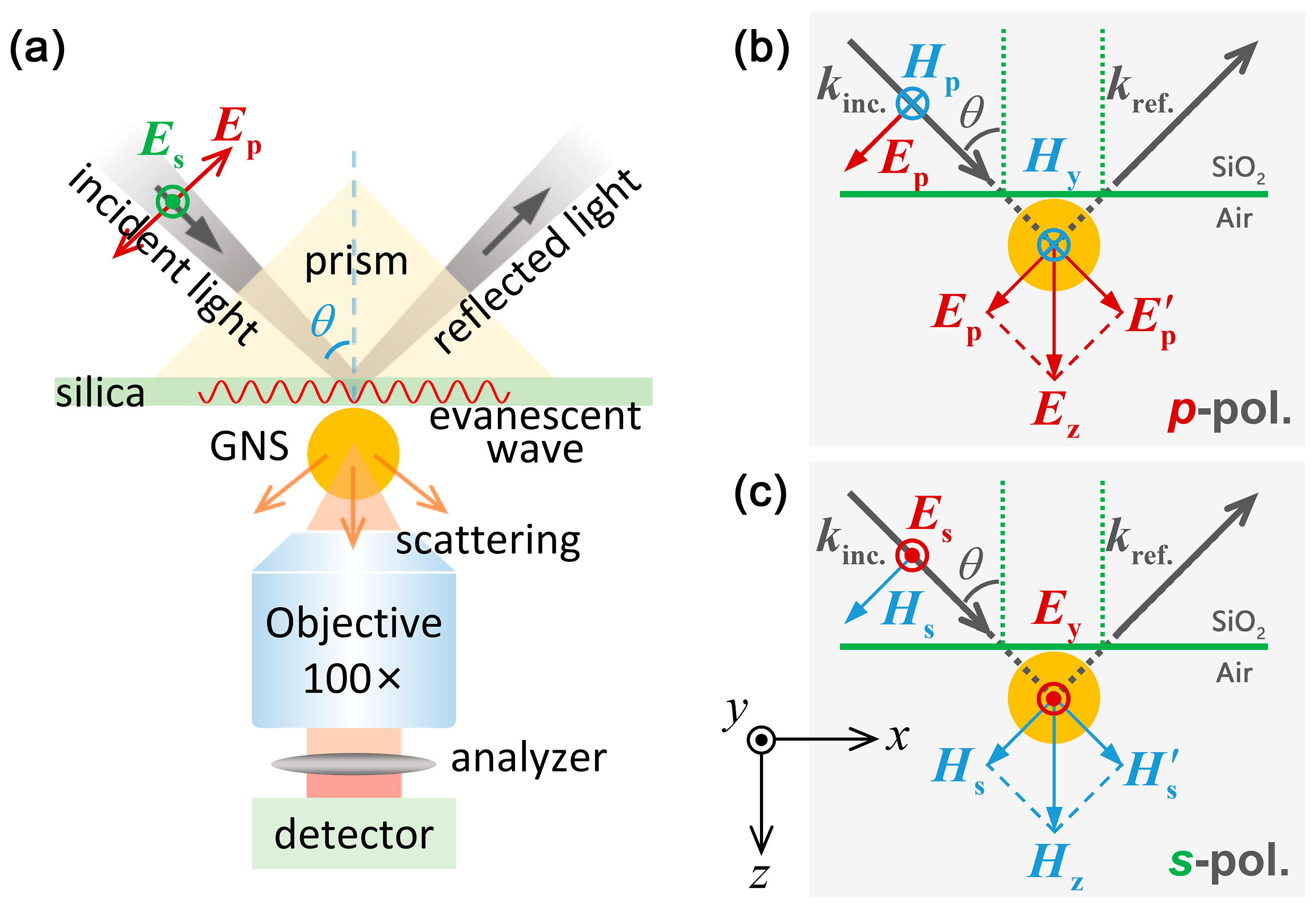 Multipole Radiations from Large Gold Nanospheres Excited by Evanescent Wave