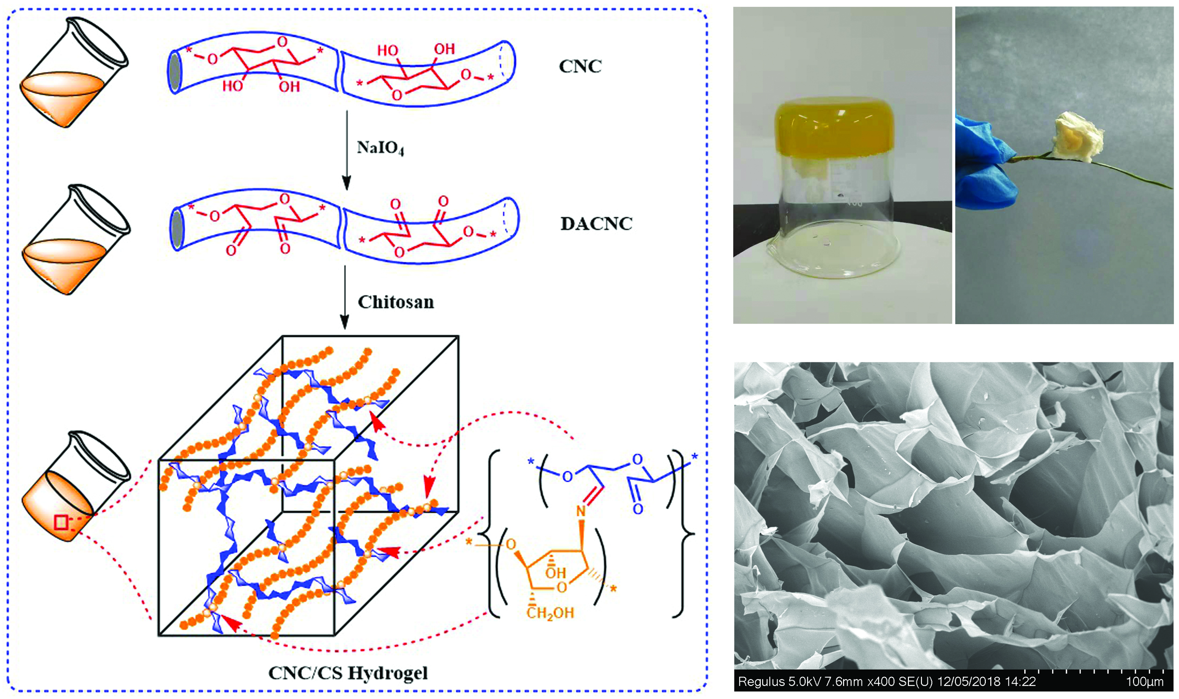 Nanomaterials | Free Full-Text | Fabrication of Cellulose Nanocrystal ...