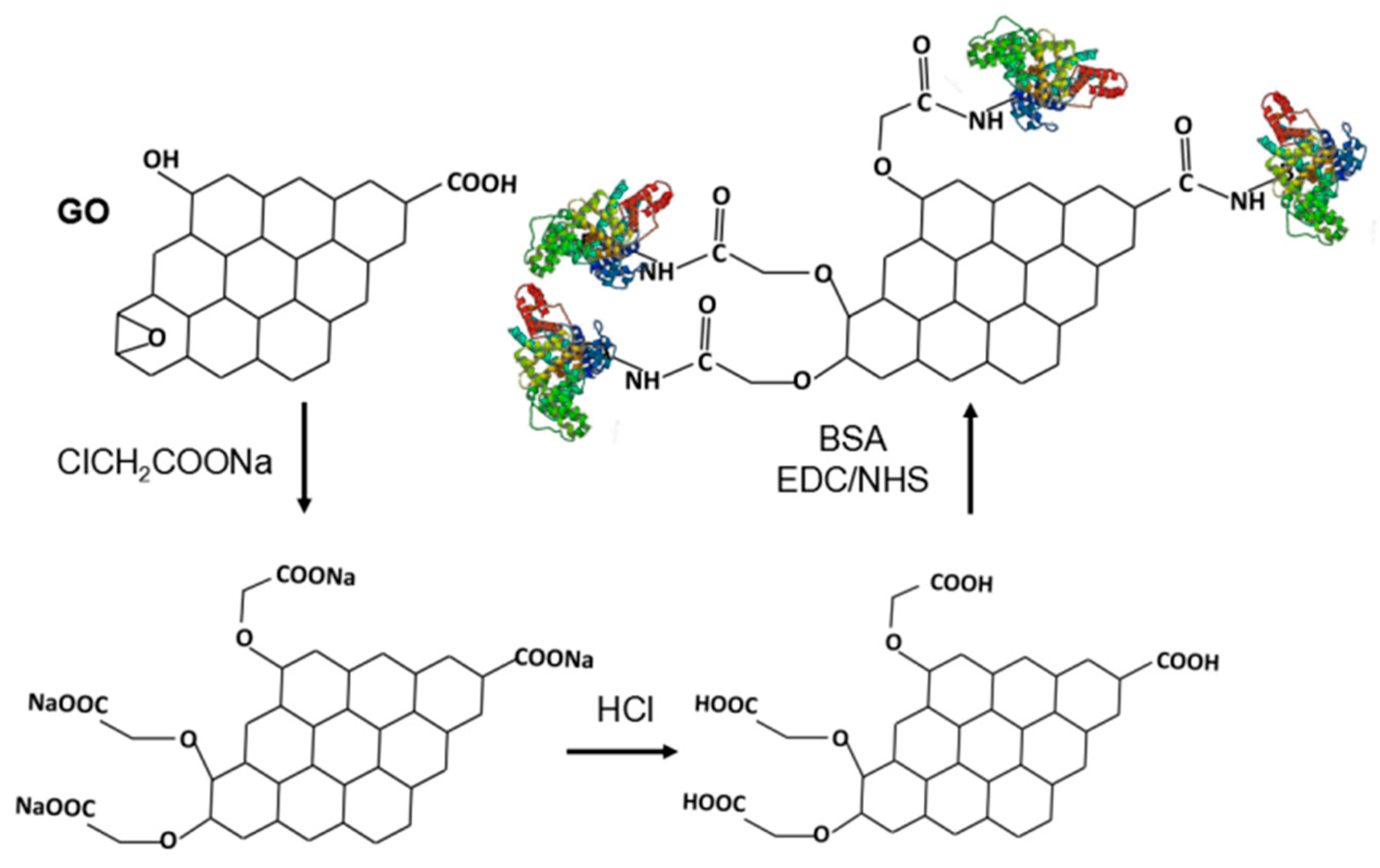 Removing Metal Ions from Water with Graphene–Bovine Serum Albumin ...