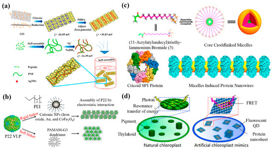 Nanomaterials Special Issue Self Assembled Bio Nanomaterials