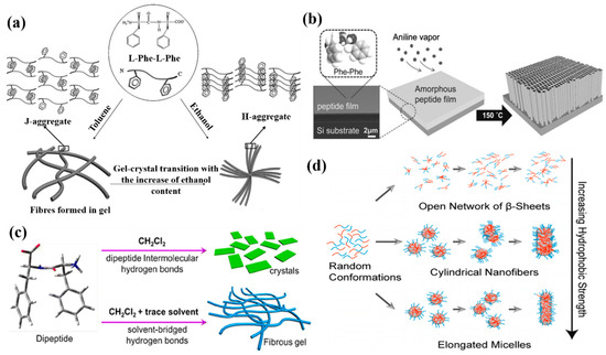 Nanomaterials | Special Issue : Self-Assembled Bio-Nanomaterials: Synthesis, Characterization ...