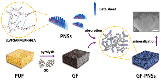 Nanomaterials | Special Issue : Self-Assembled Bio-Nanomaterials: Synthesis, Characterization ...