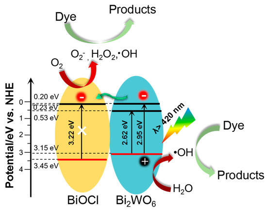 3D Hollow Hierarchical Structures Based on 1D BiOCl Nanorods ...