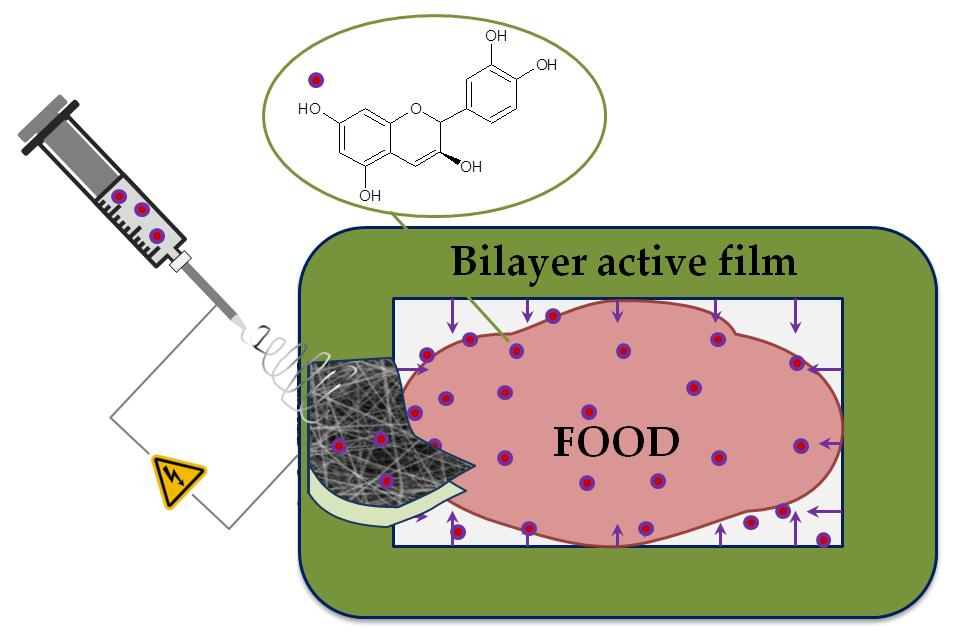 Nanomaterials | Free Full-Text | Antioxidant Bilayers Based on PHBV and ...
