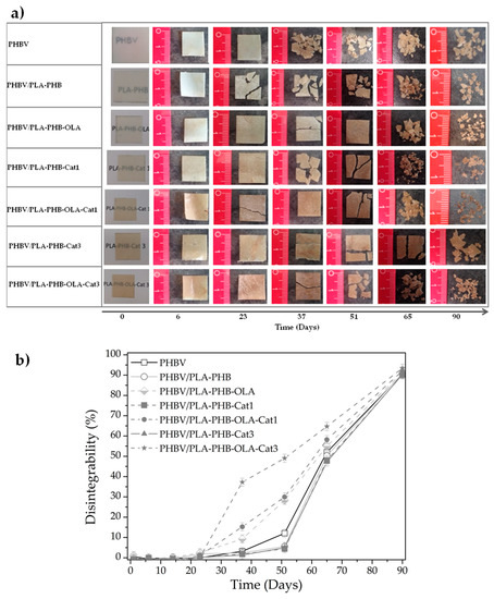 Antioxidant Bilayers Based on PHBV and Plasticized Electrospun PLA-PHB ...