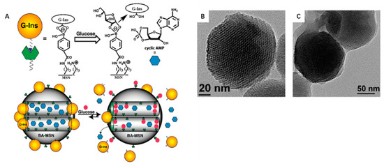 Smart Mesoporous Silica Nanoparticles for Protein Delivery
