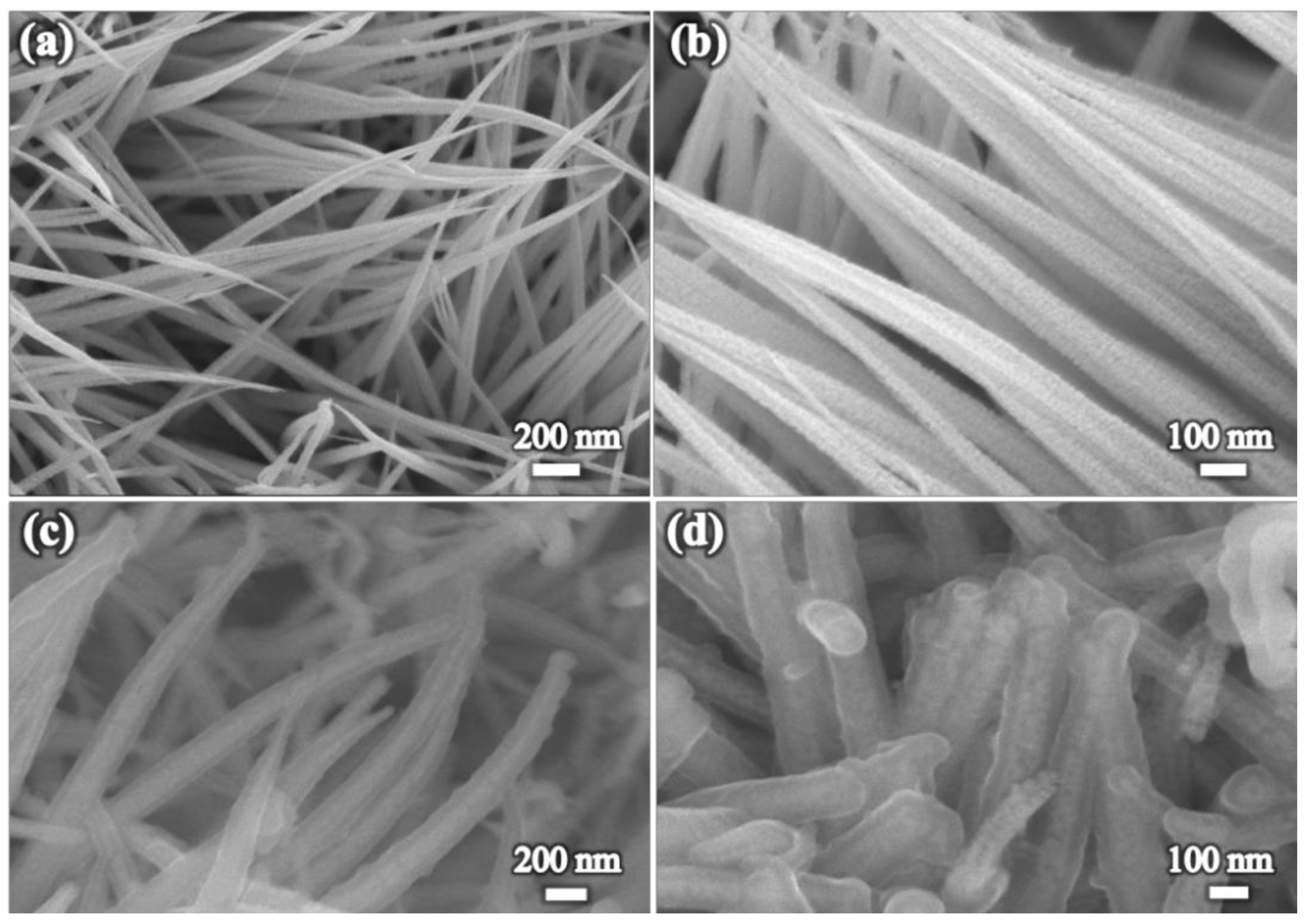 Hybrid CoO Nanowires Coated with Uniform Polypyrrole Nanolayers for ...