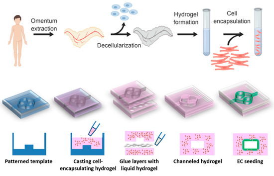 Channeled ECM-Based Nanofibrous Hydrogel for Engineering Vascularized ...