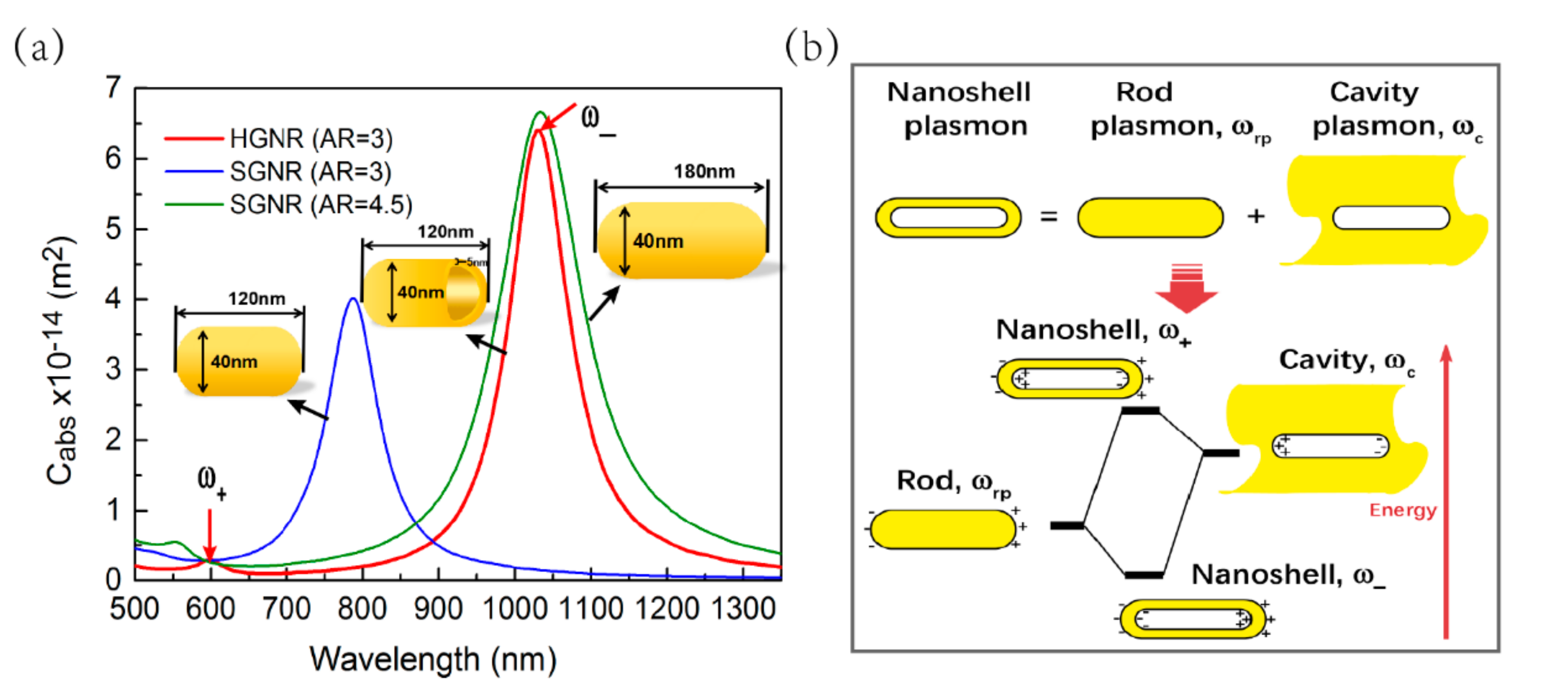 Photothermal Response of Hollow Gold Nanorods under Femtosecond Laser ...
